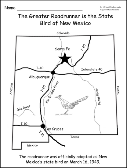 My Book About the Greater Roadrunner Grades 2-4, 42 Pages - Lyric Power ...