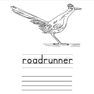 My Book About the Greater Roadrunner Grades K-2, 27 Pages - Lyric Power ...