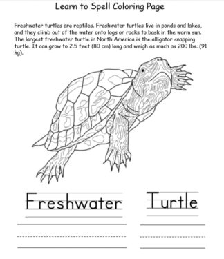 My Book About Freshwater Turtles Pre-K - Grade 1, 24 Pages - Lyric ...