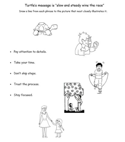 My Book About Turtles Grades 2-4, 38 Pages - Lyric Power Publishing, LLC